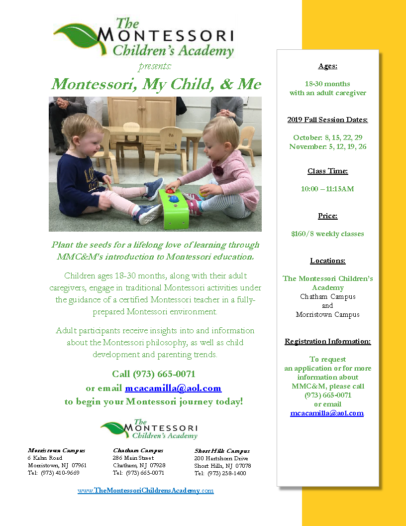 The Montessori Children's Academy