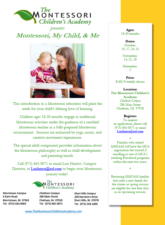 The Montessori Children's Academy